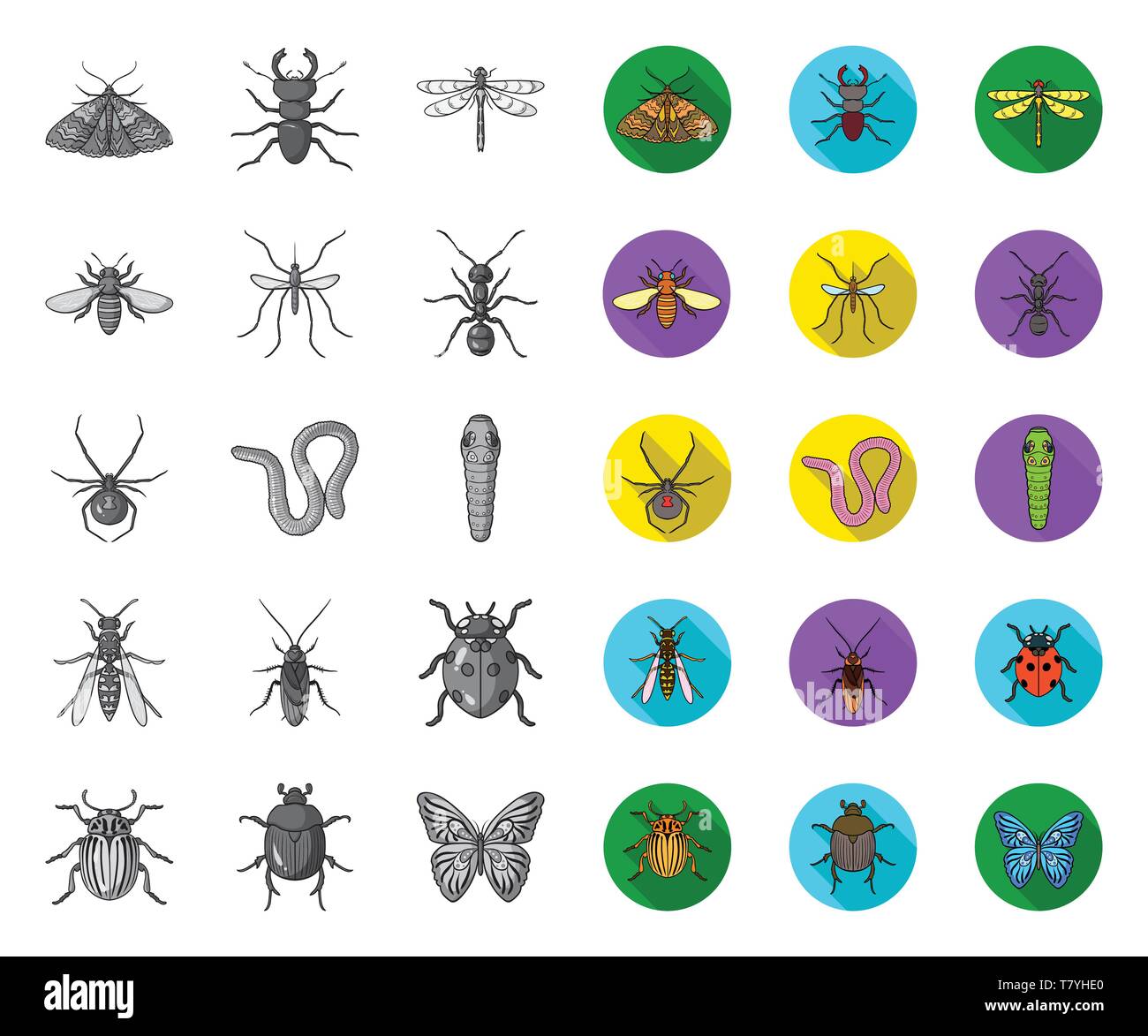 Different kinds of insects mono,flat icons in set collection for design ...