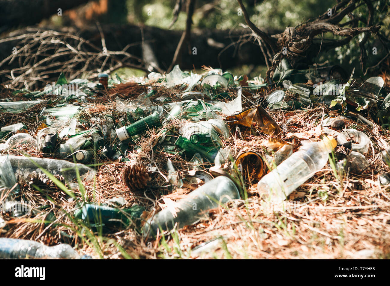 Garbage Dump In Forest High Resolution Stock Photography and Images - Alamy