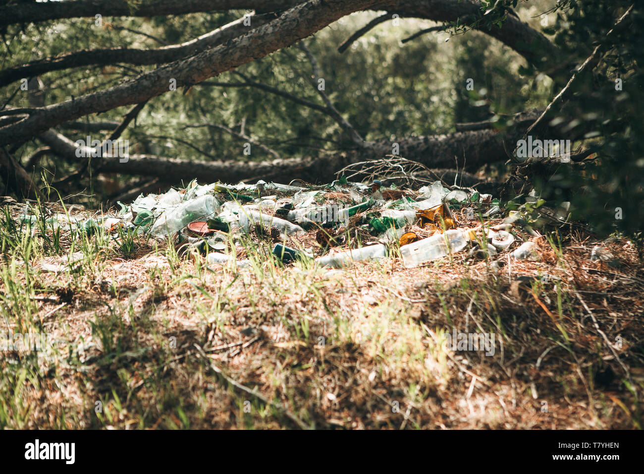 Pollution of the environment. Garbage pile in the forest. Waste or ...