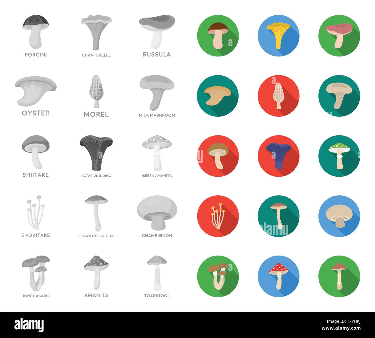 Poisonous and edible mushroom mono,flat icons in set collection for ...