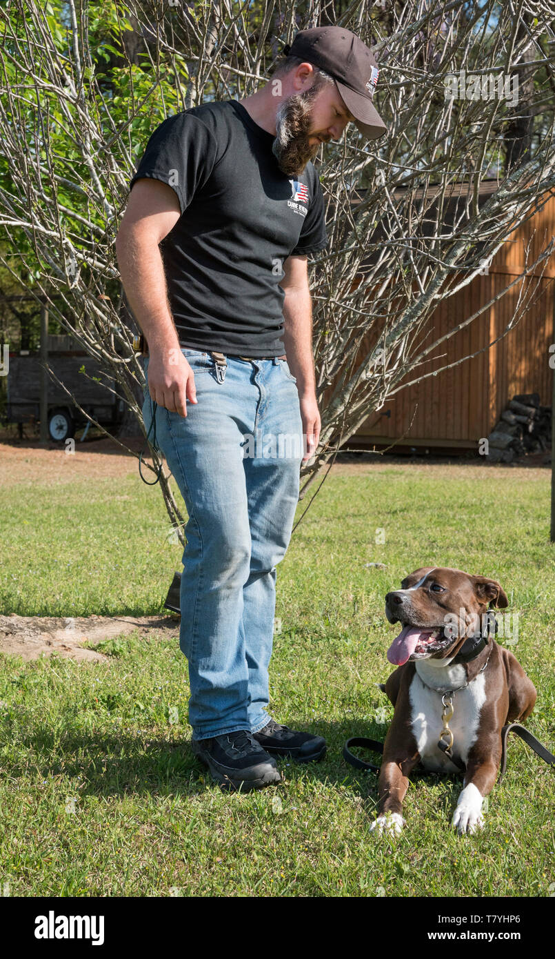 Canine Revolution dog trainer working with a dog. Summerville, South ...
