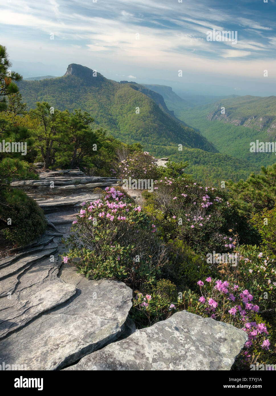 Hawksbill Mtn is one of my favorite places in the Linville Gorge Area ...