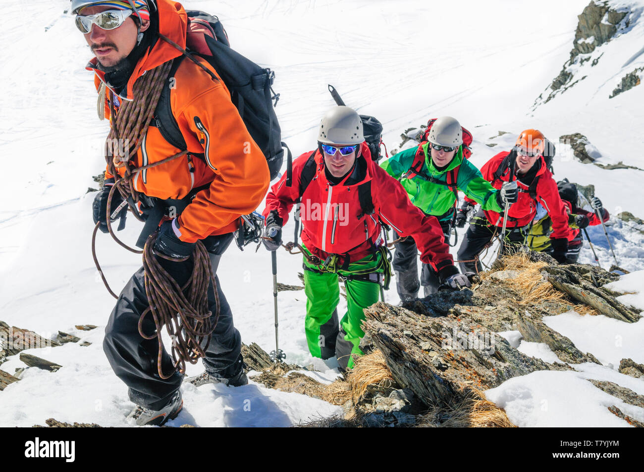 Mountain guide leading a group of alpinists up to Monte Rosa Glaciers ...