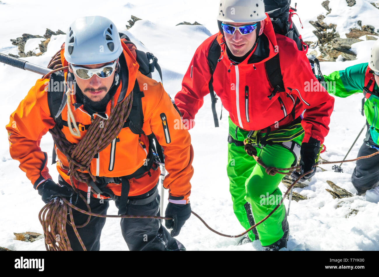 Mountain guide leading a group of alpinists up to Monte Rosa Glaciers ...