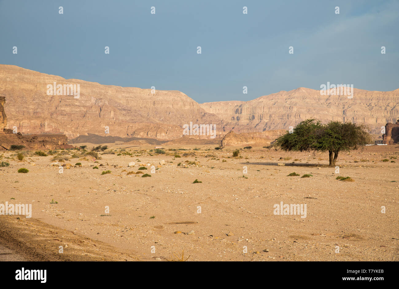 Timna national park hi-res stock photography and images - Alamy