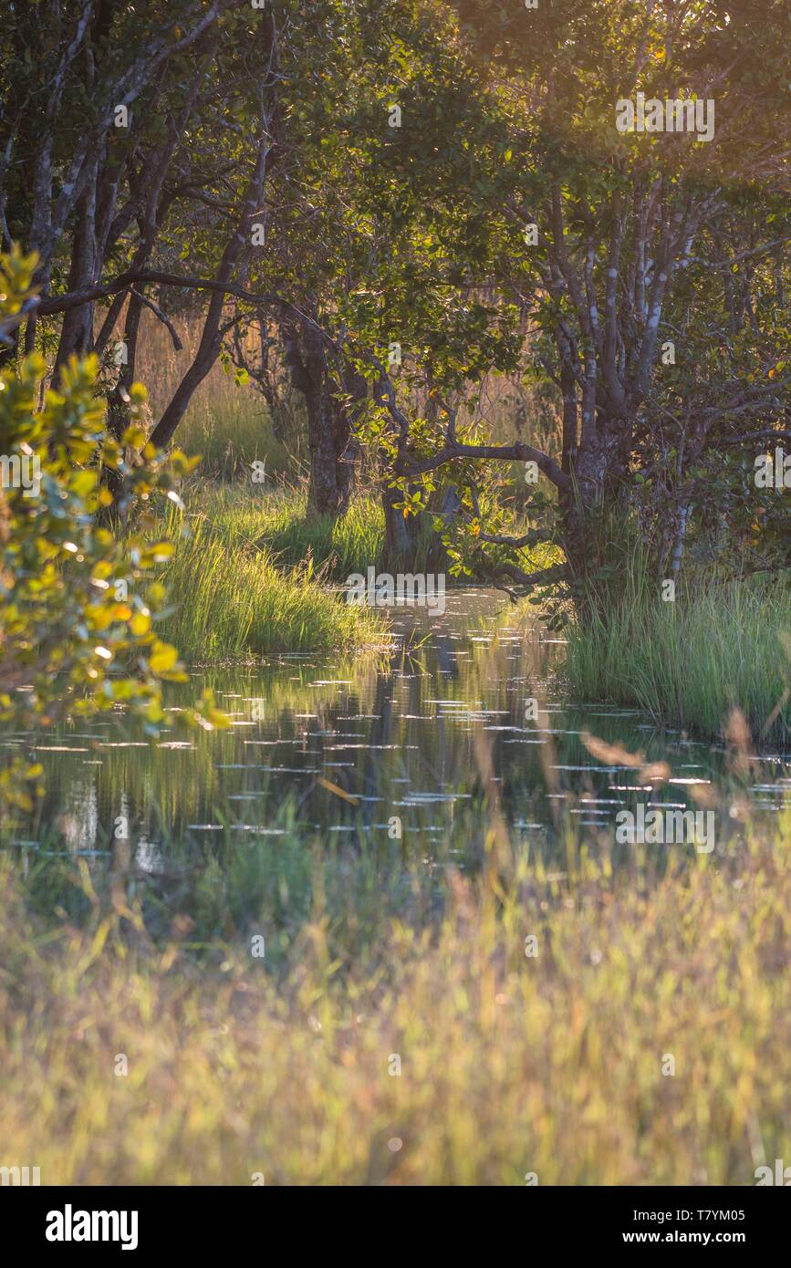 Kasungu national park malawi hi-res stock photography and images - Alamy
