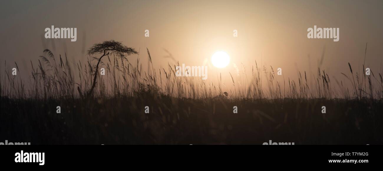 Botswana, Ngamiland, Okavango Delta, Moremi Game Reserve Stock Photo ...