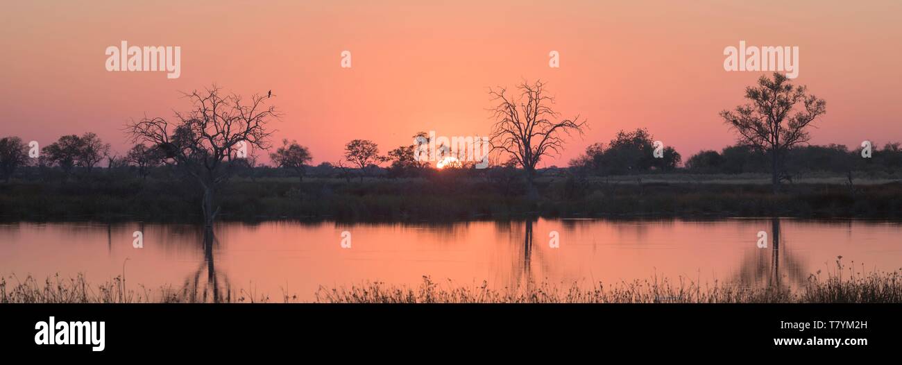 Botswana, Ngamiland, Okavango Delta, Moremi Game Reserve Stock Photo ...