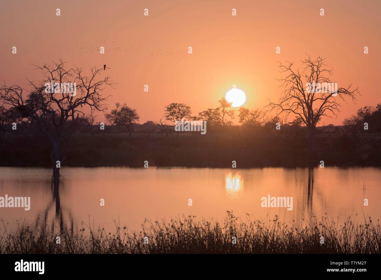 Botswana, Ngamiland, Okavango Delta, Moremi Game Reserve Stock Photo ...