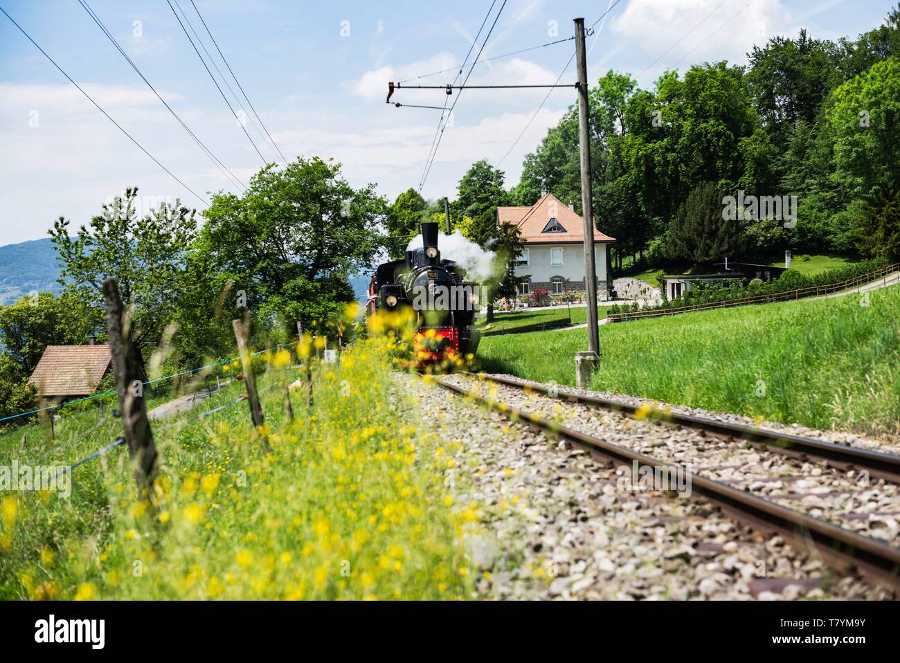 Switzerland, Vaud, Blonay, Blonay-Chamby living railway museum Stock ...