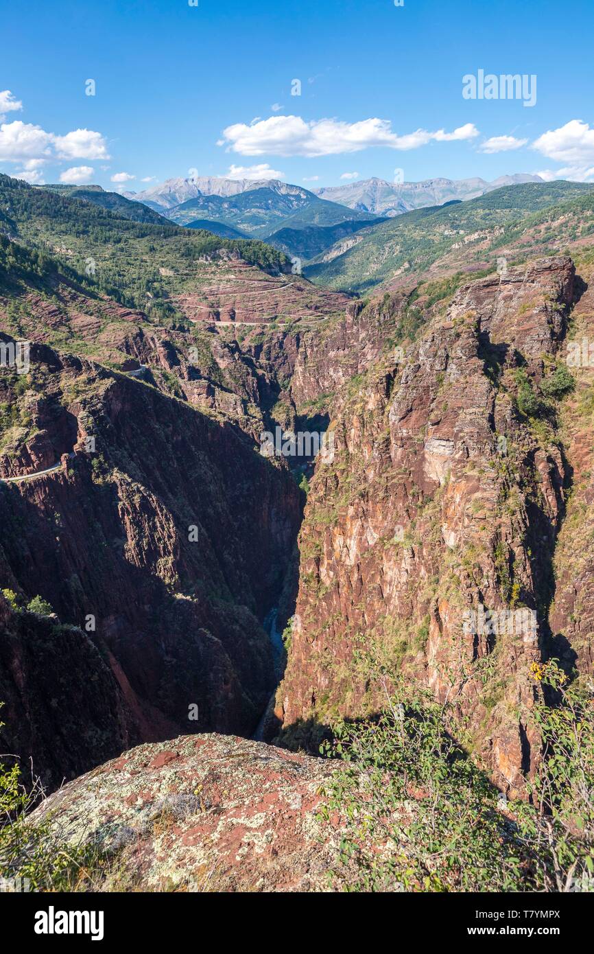 France, Alpes Maritimes, Mercantour National Park, Haut Var valley, the ...