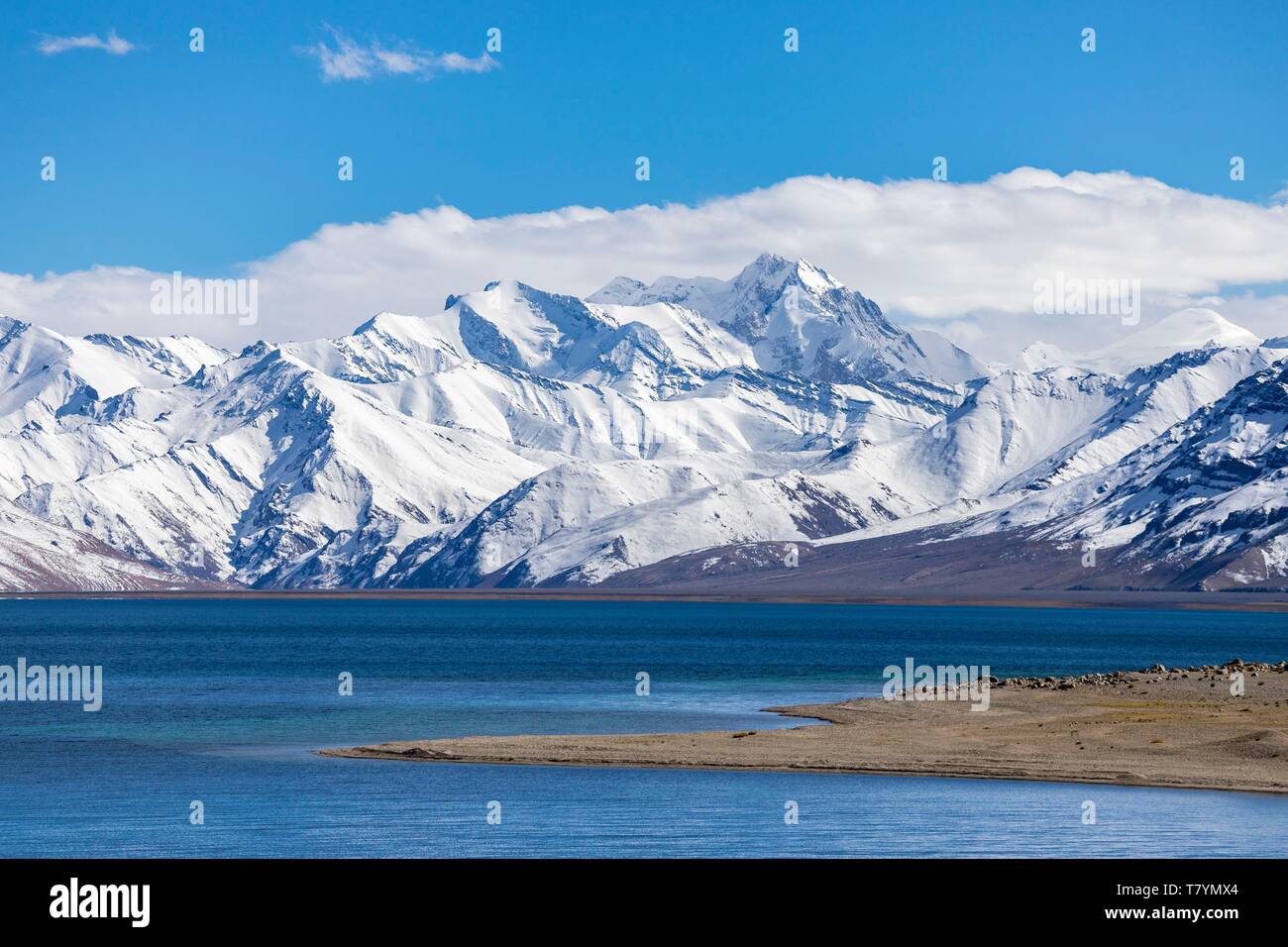 India, Jammu and Kashmir, Himalaya, Ladakh, Changthang plateau ...