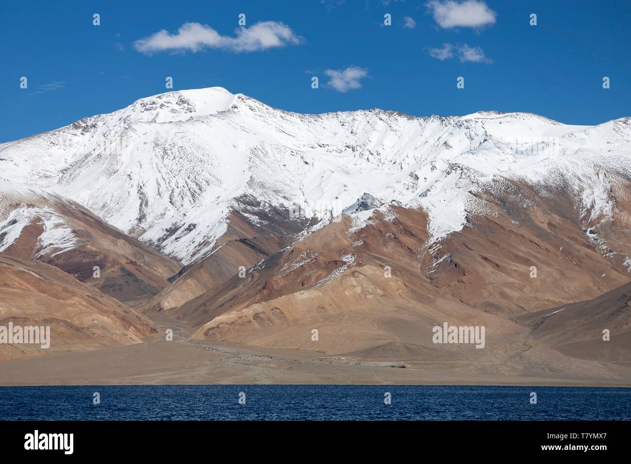 India, Jammu and Kashmir, Himalaya, Ladakh, Changthang plateau ...