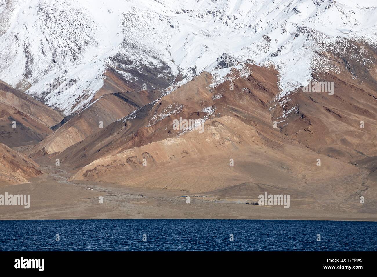 India, Jammu and Kashmir, Himalaya, Ladakh, Changthang plateau ...