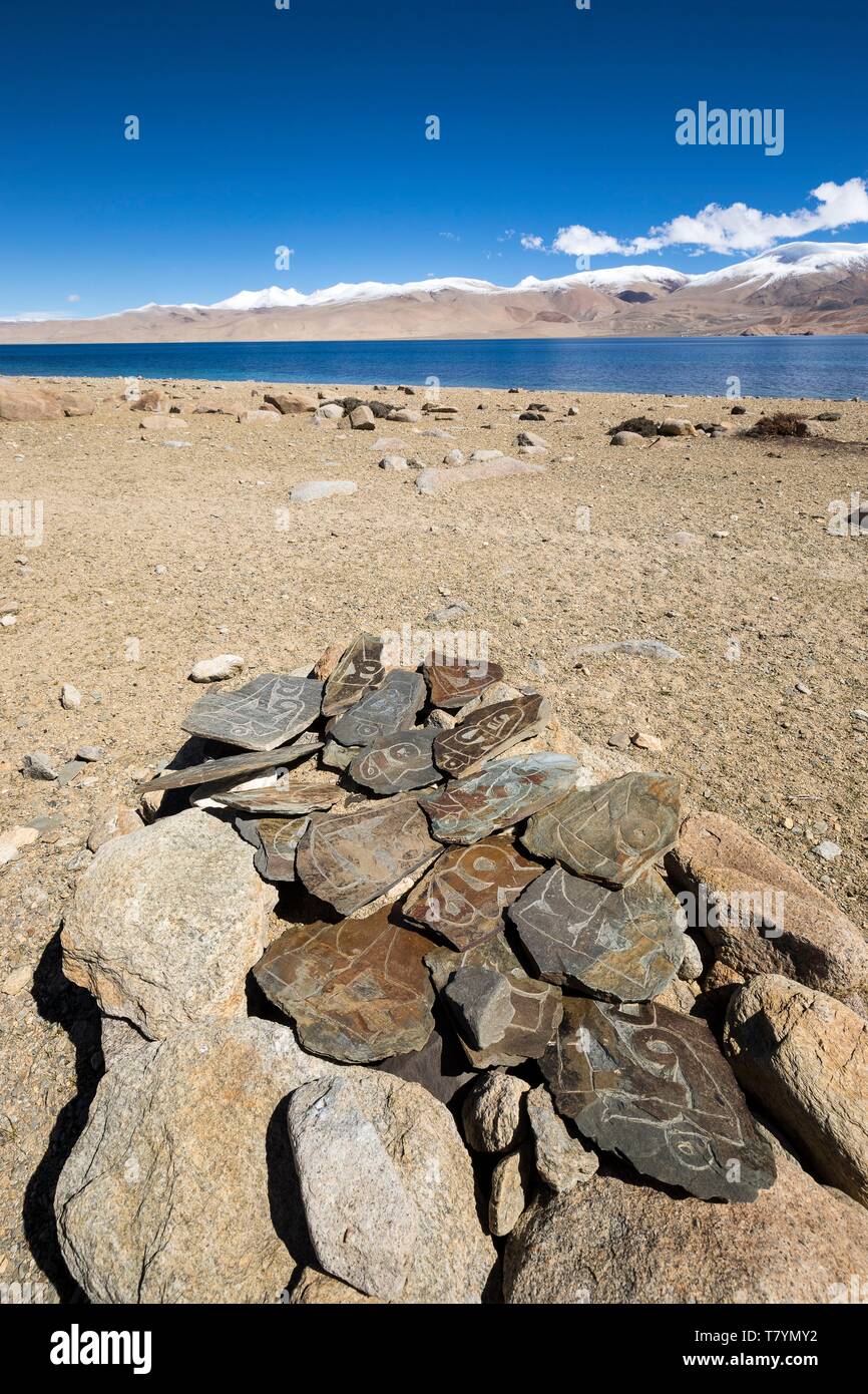 India, Jammu and Kashmir, Himalaya, Ladakh, Changthang plateau ...
