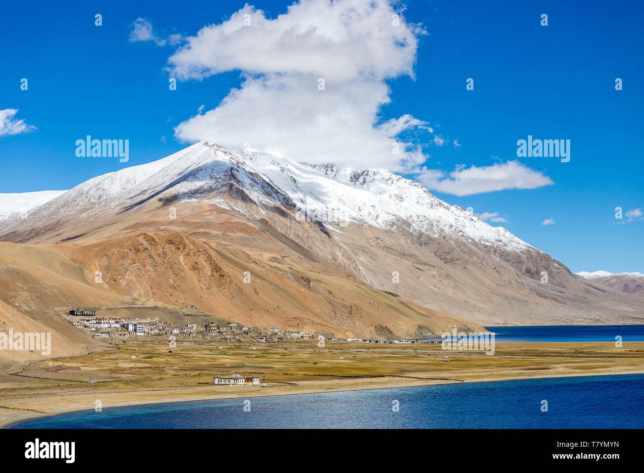 India, Jammu and Kashmir, Himalaya, Ladakh, Changthang plateau ...
