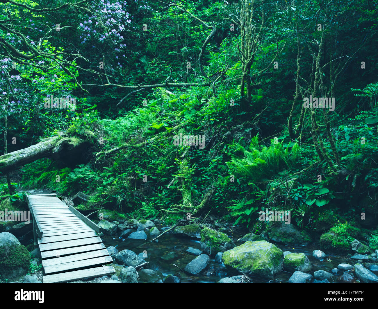 Pathway over river hi-res stock photography and images - Alamy