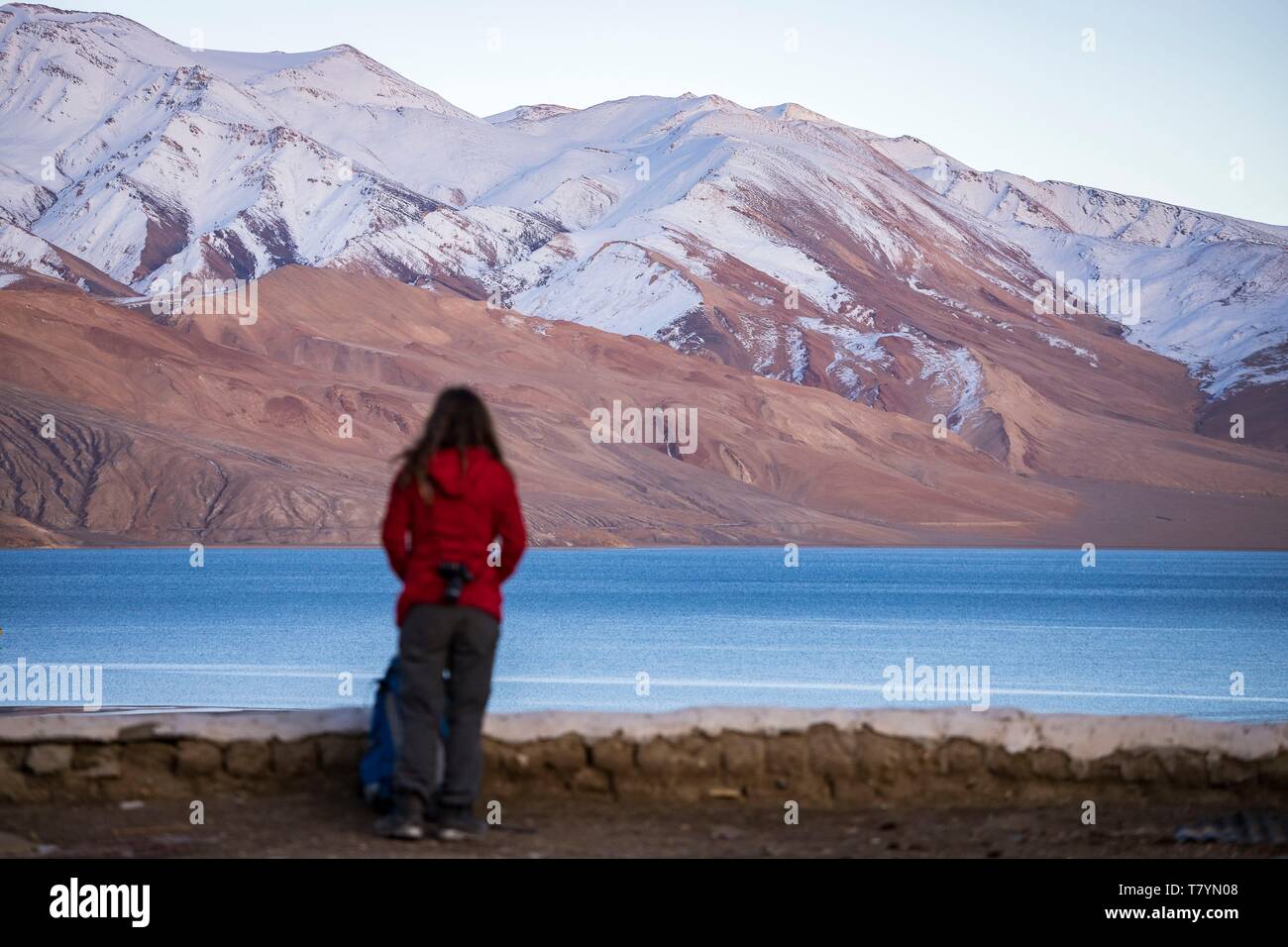 India, Jammu and Kashmir, Himalaya, Ladakh, Changthang plateau ...