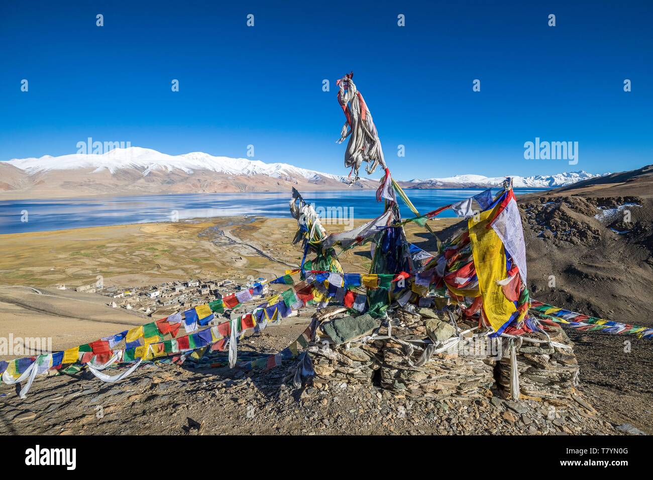 India, Jammu and Kashmir, Himalaya, Ladakh, Changthang plateau ...
