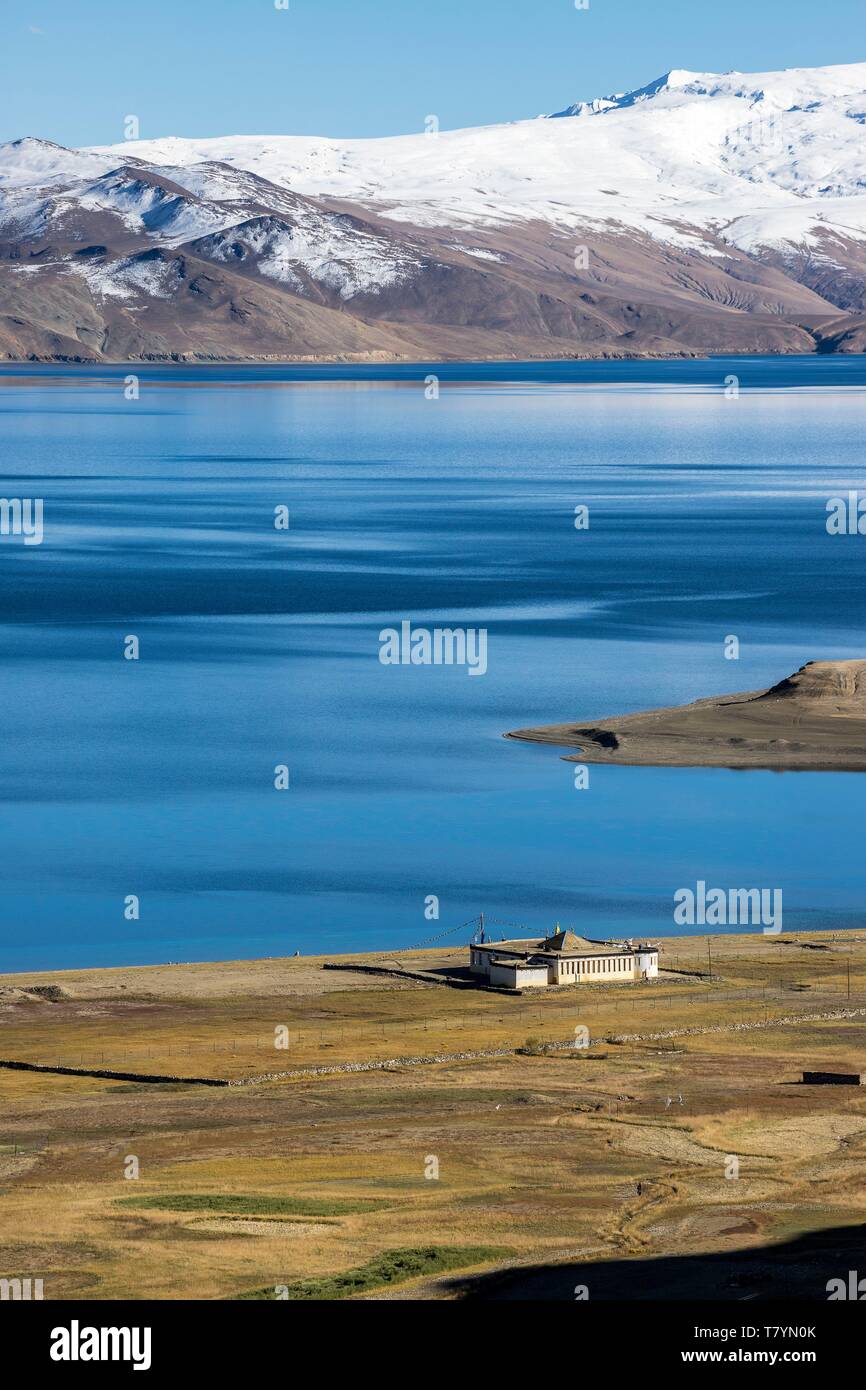 India, Jammu and Kashmir, Himalaya, Ladakh, Changthang plateau ...