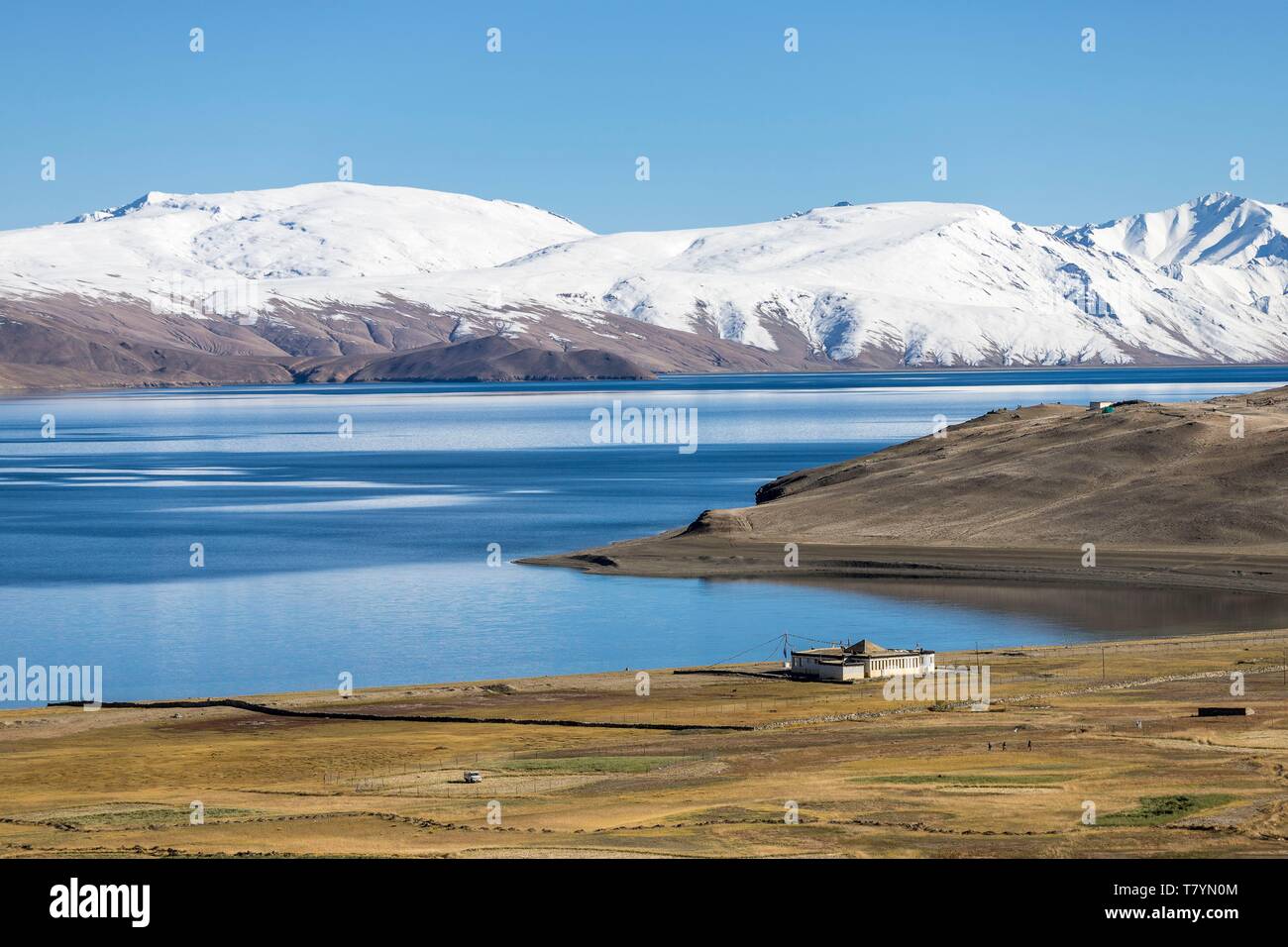 India, Jammu and Kashmir, Himalaya, Ladakh, Changthang plateau ...
