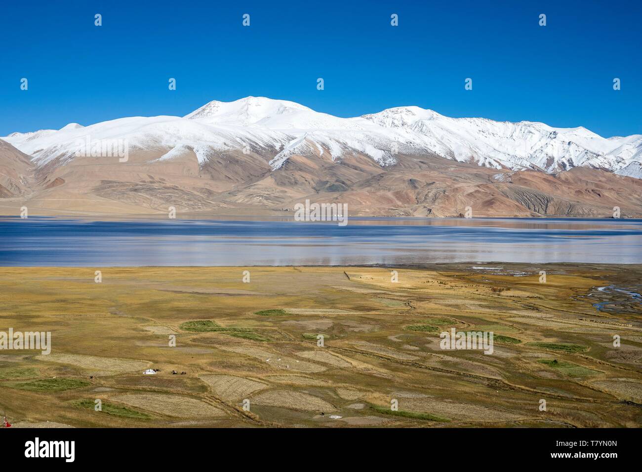 Rupshu plateau hi-res stock photography and images - Alamy
