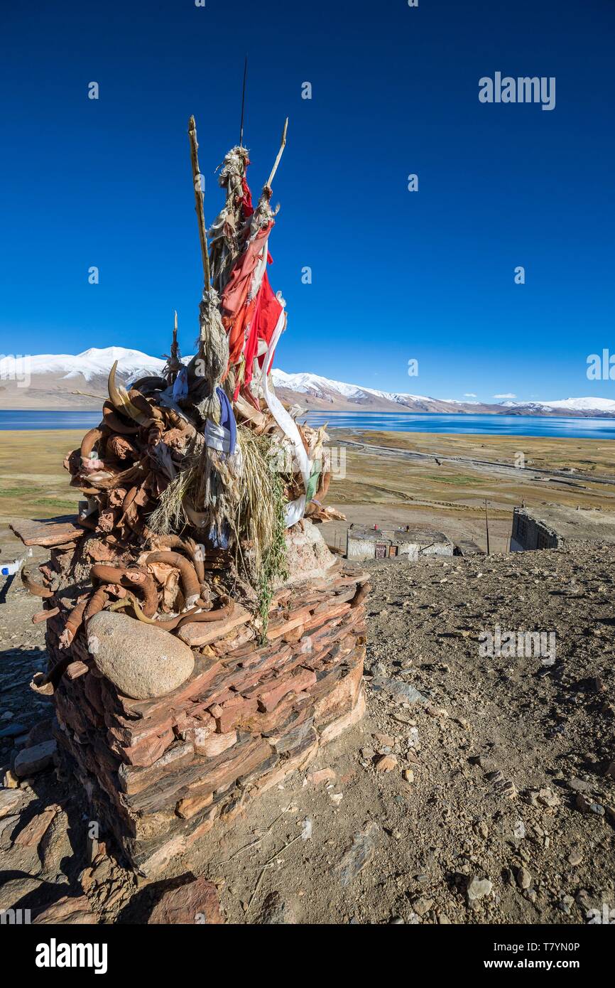 India, Jammu and Kashmir, Himalaya, Ladakh, Changthang Plateau ...