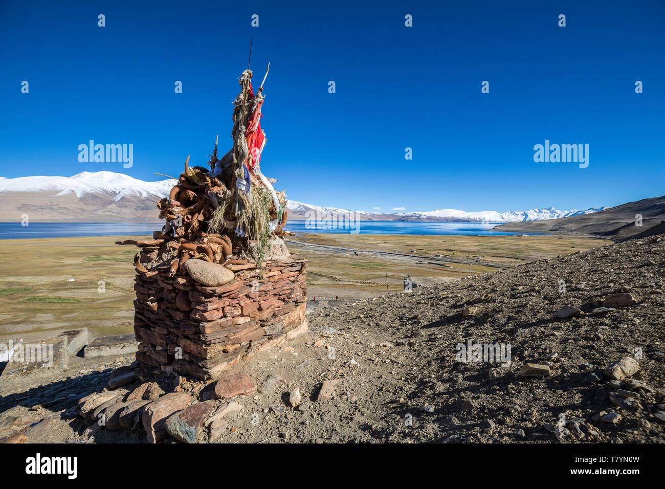 India, Jammu and Kashmir, Himalaya, Ladakh, Changthang Plateau ...