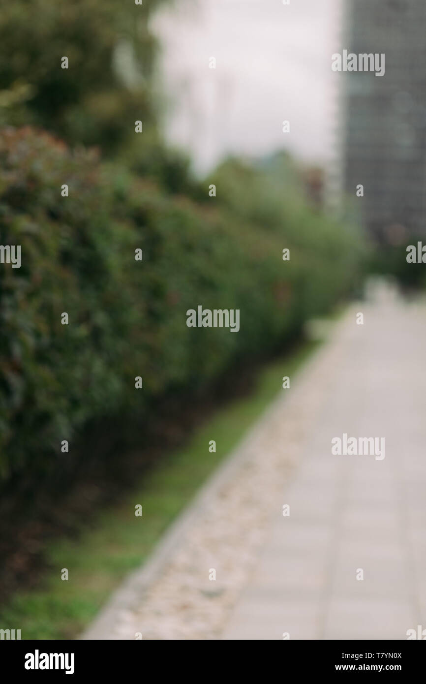 blur background of path way in the city park Stock Photo - Alamy