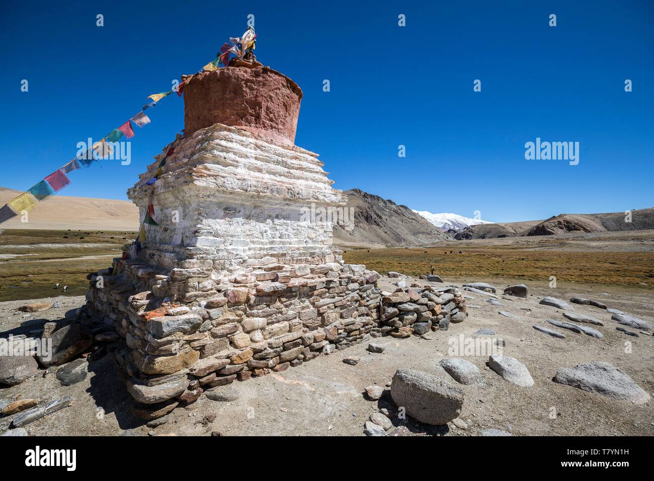 Rupshu plateau hi-res stock photography and images - Alamy