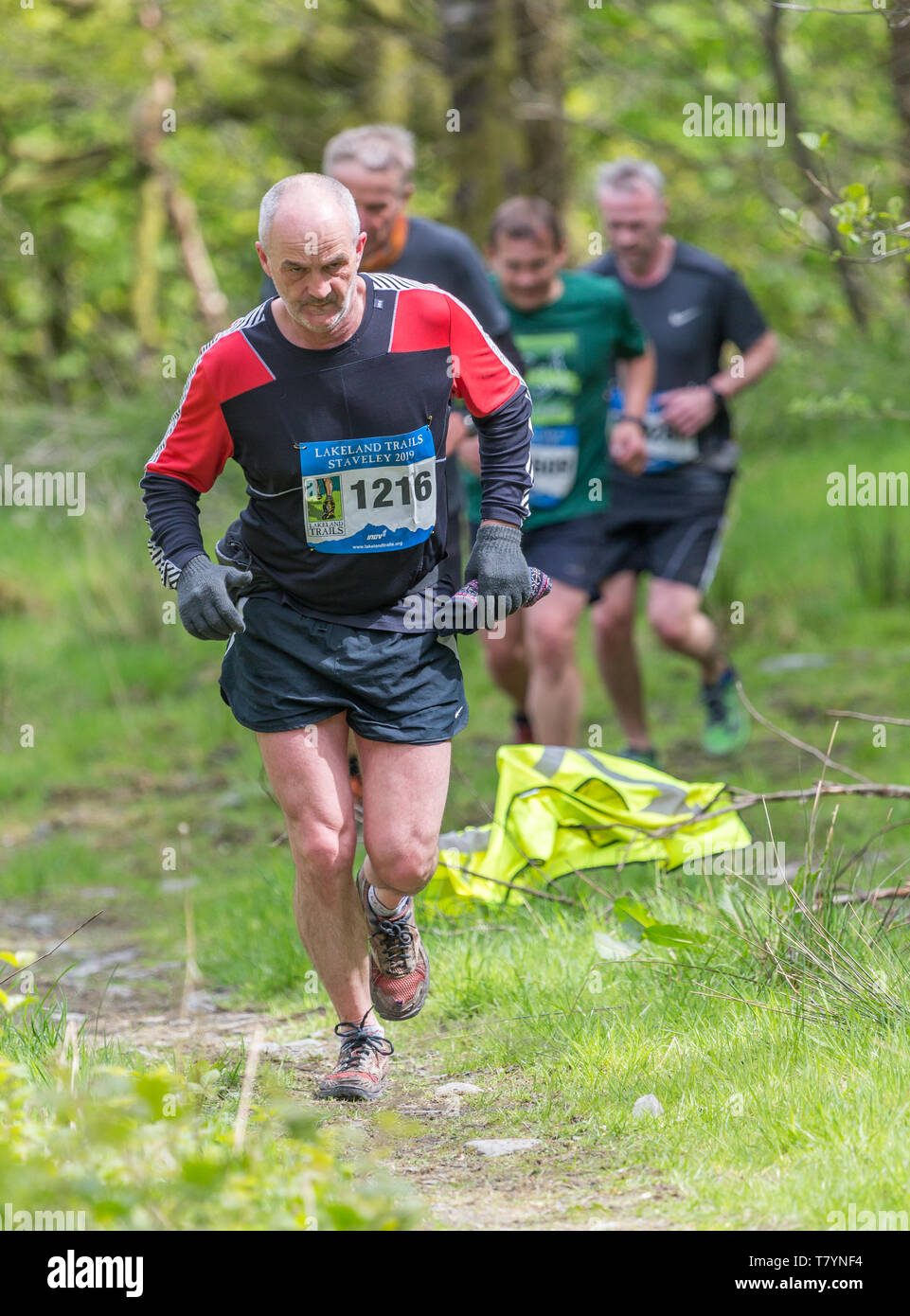 Fell Runners competing in the 2019 Staveley Lakeland Fell Race near ...