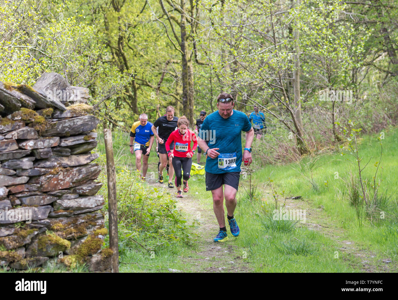 Fell Runners competing in the 2019 Staveley Lakeland Fell Race near ...