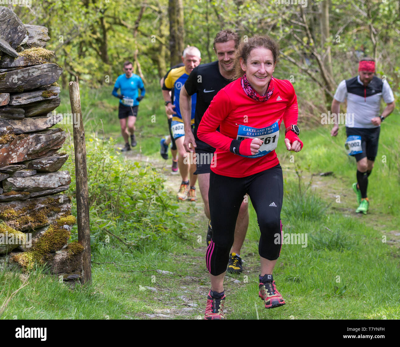 Male and female runners running in forest hi-res stock photography and ...