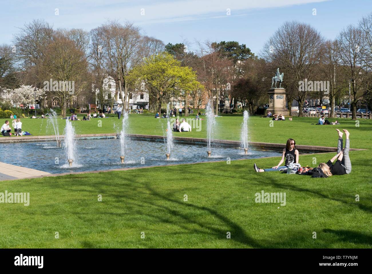 Gorsedd gardens hi-res stock photography and images - Alamy