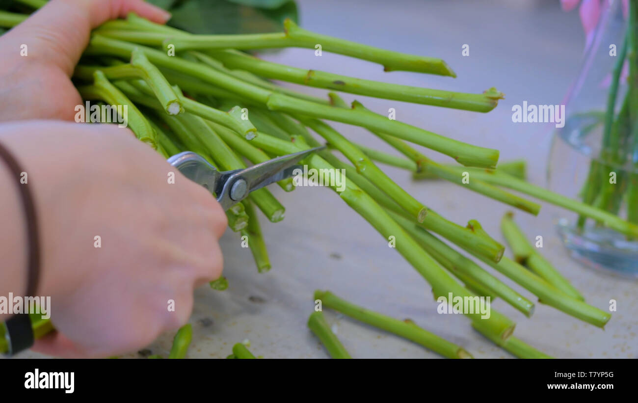 Professional florist cutting flower stems at flower store Stock Photo ...