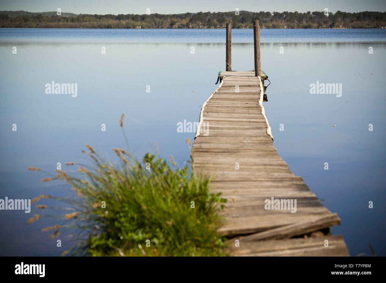 Pontoon by lake hi-res stock photography and images - Alamy
