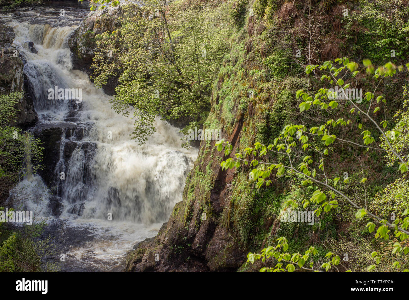 The Reekie Linn waterfall on the River Isla, Perthshire, Scotland, in ...