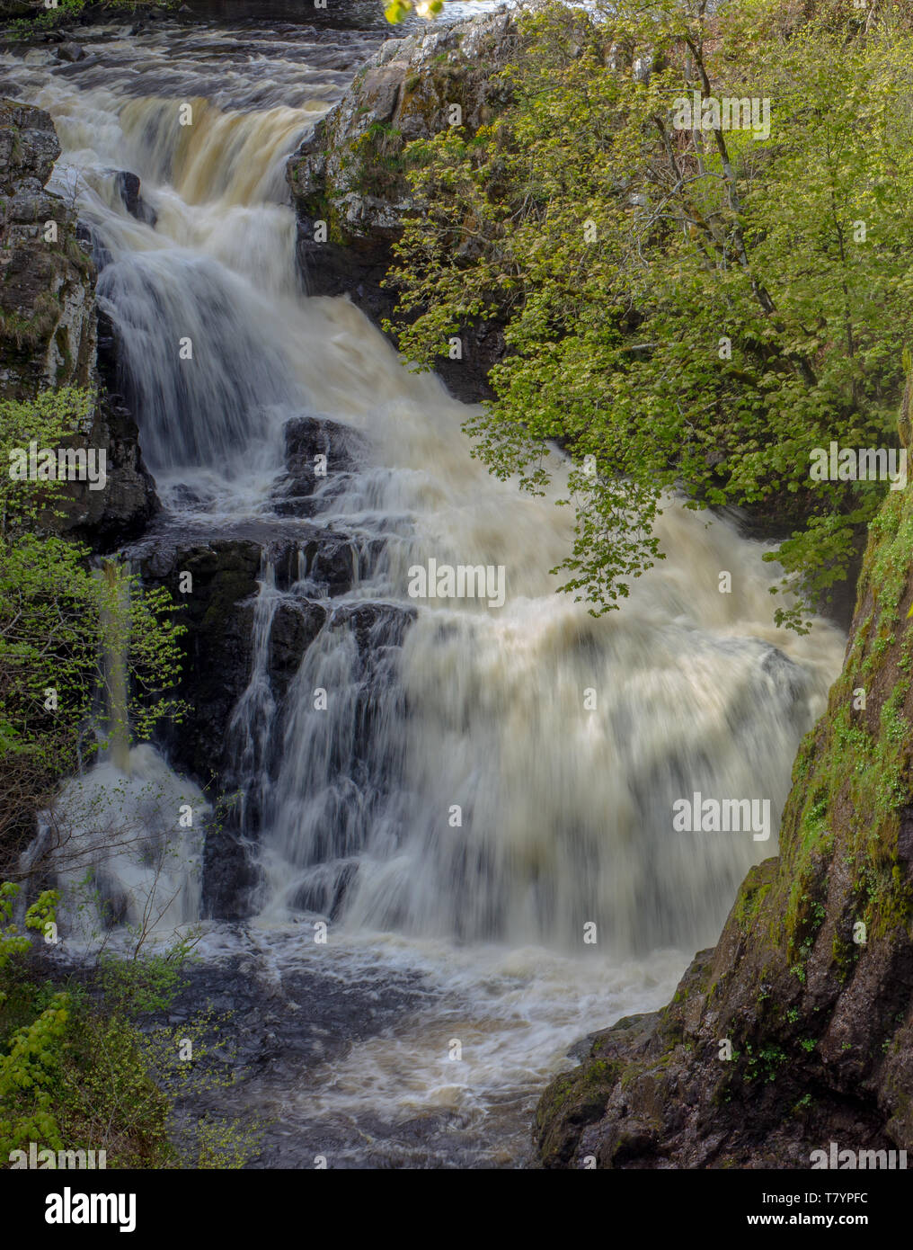 The Reekie Linn waterfall on the River Isla, Perthshire, Scotland, in ...