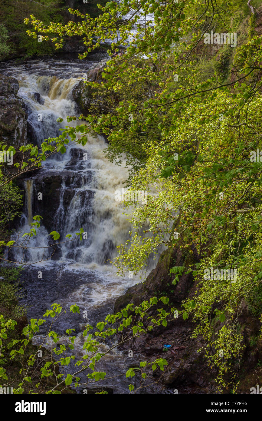 The Reekie Linn waterfall on the River Isla, Perthshire, Scotland, in ...