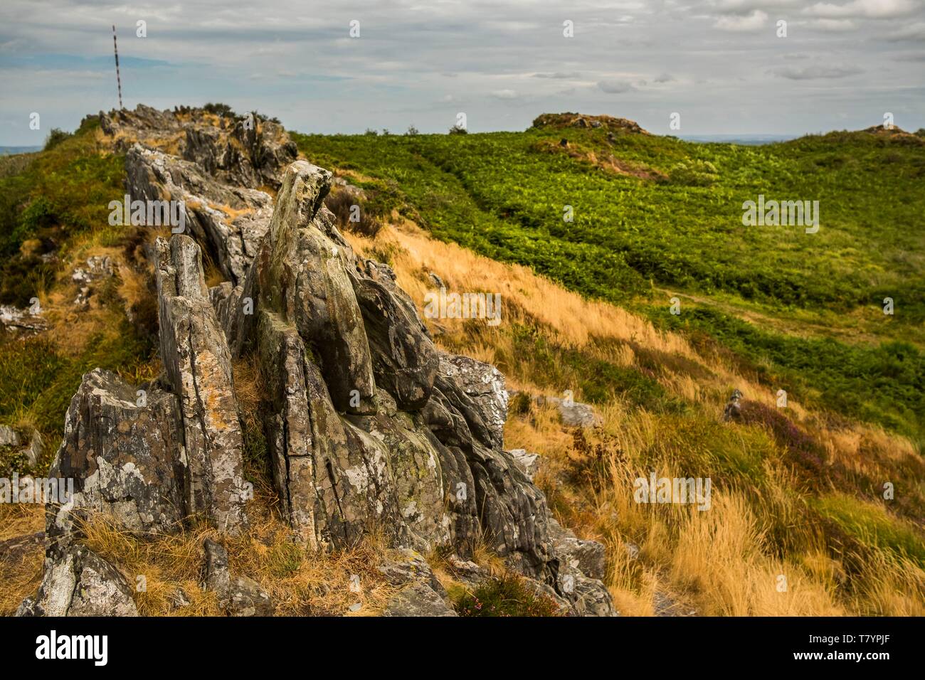 Armoricain hi-res stock photography and images - Alamy