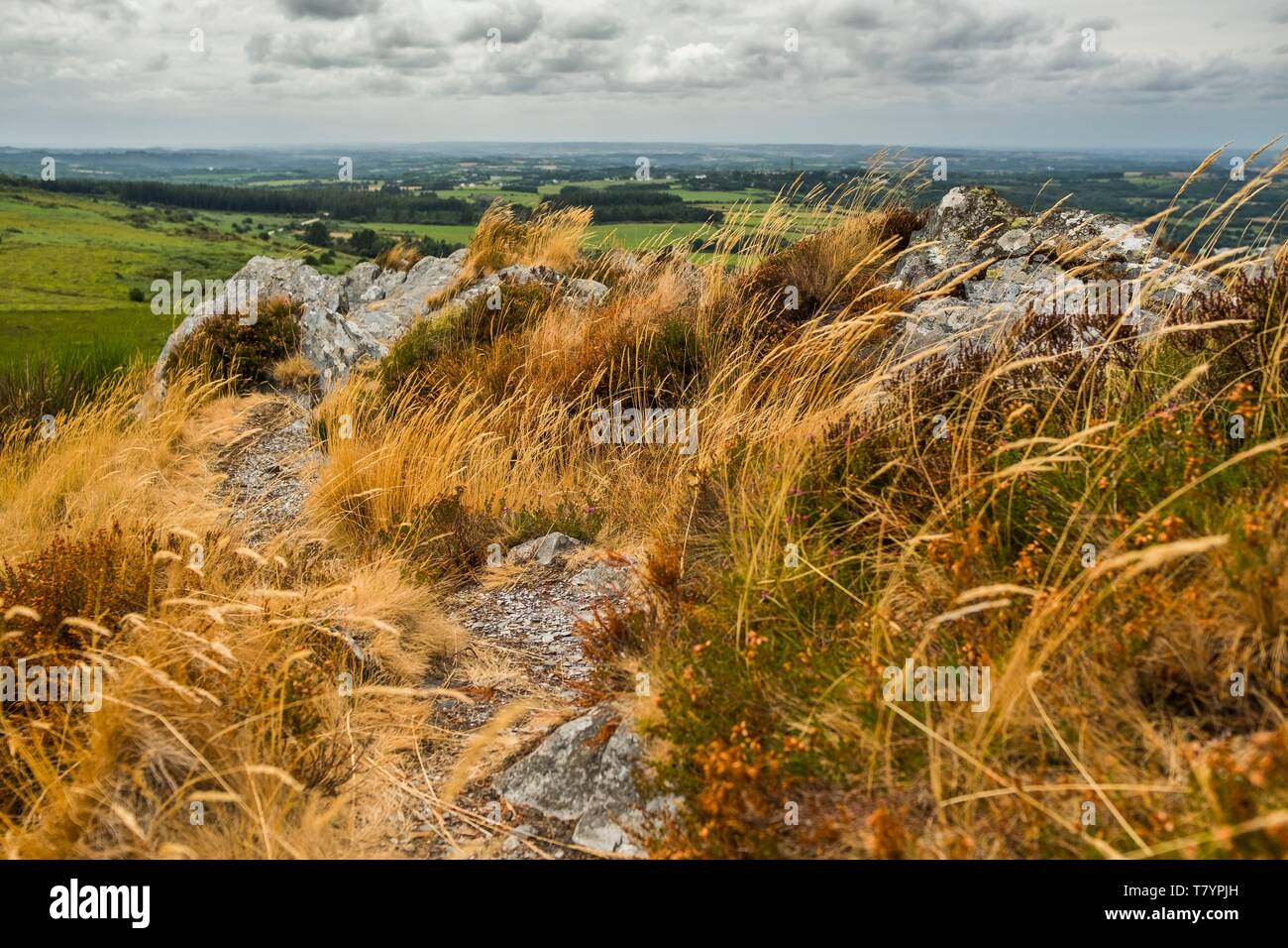 Massif armoricain hi-res stock photography and images - Alamy