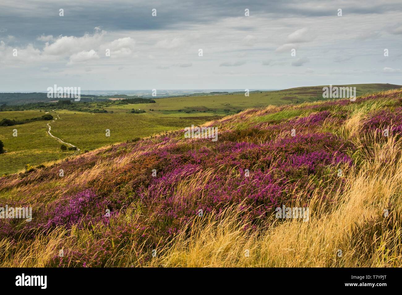 Massif armoricain hi-res stock photography and images - Alamy