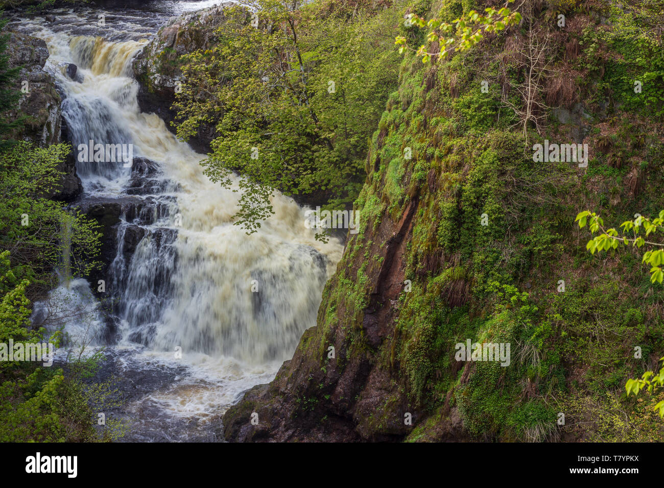 Reekie linn falls hi-res stock photography and images - Alamy