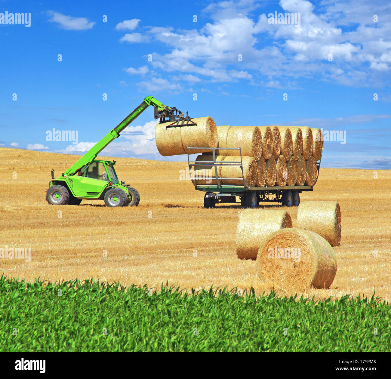 Straw elevator hi-res stock photography and images - Alamy