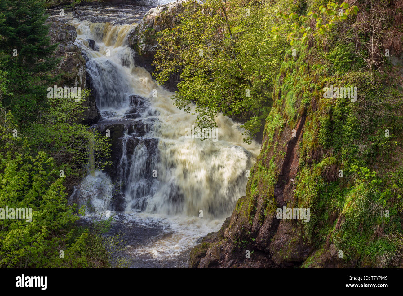 The Reekie Linn waterfall on the River Isla, Perthshire, Scotland, in ...