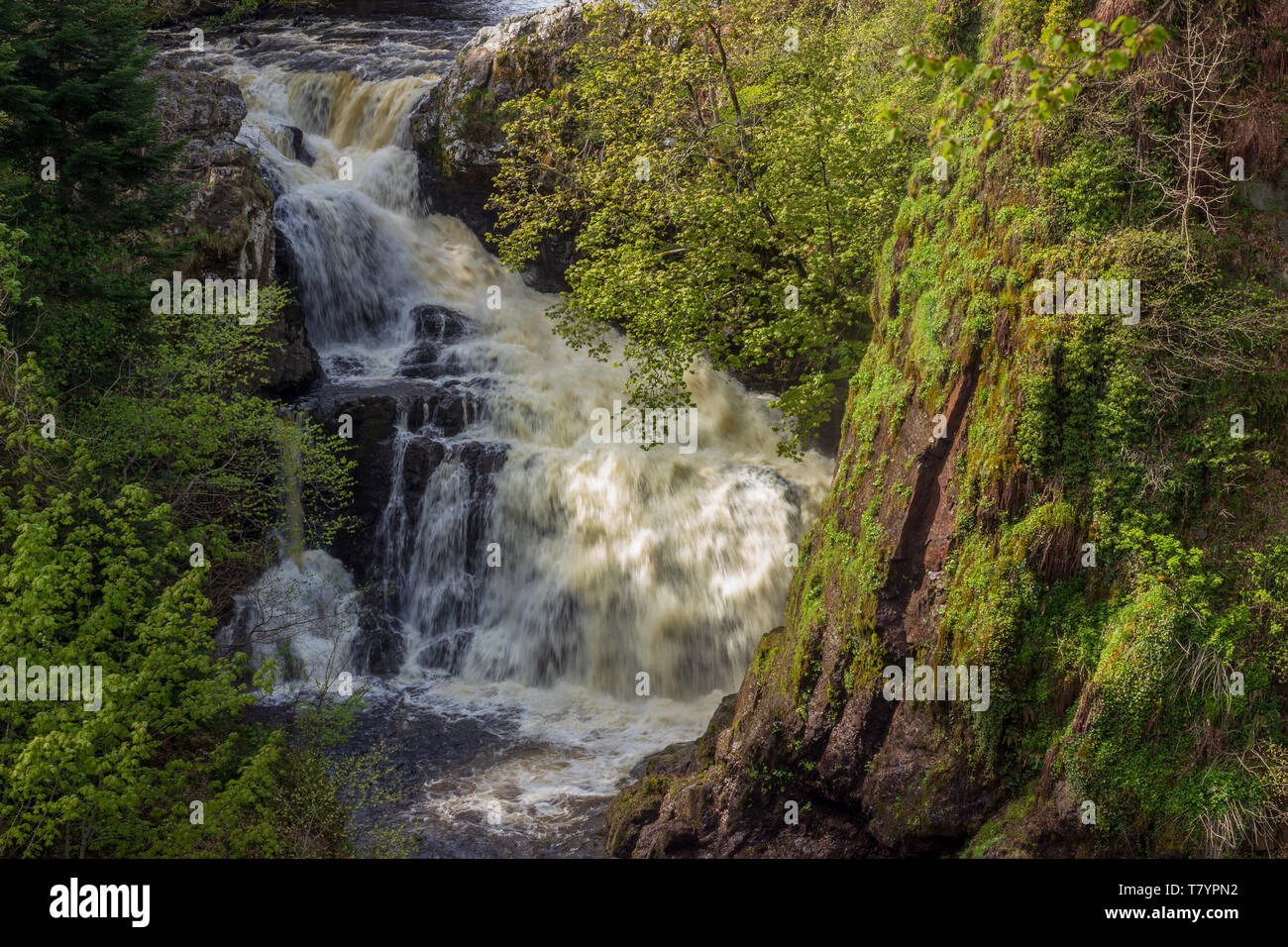 The Reekie Linn waterfall on the River Isla, Perthshire, Scotland, in ...