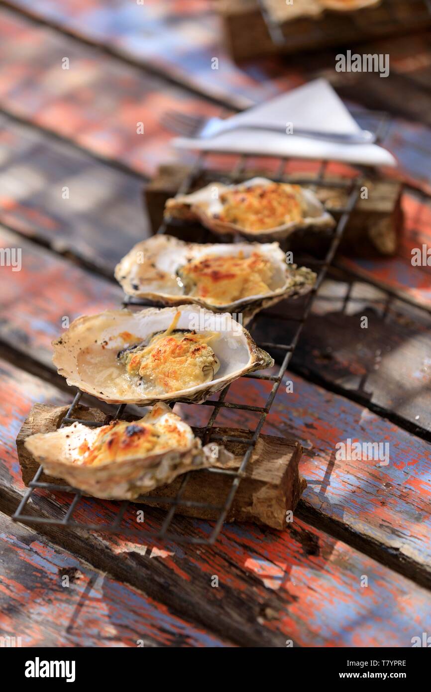 France, Herault, Bouzigues, The Circle of Oysters, oyster farmer and ...