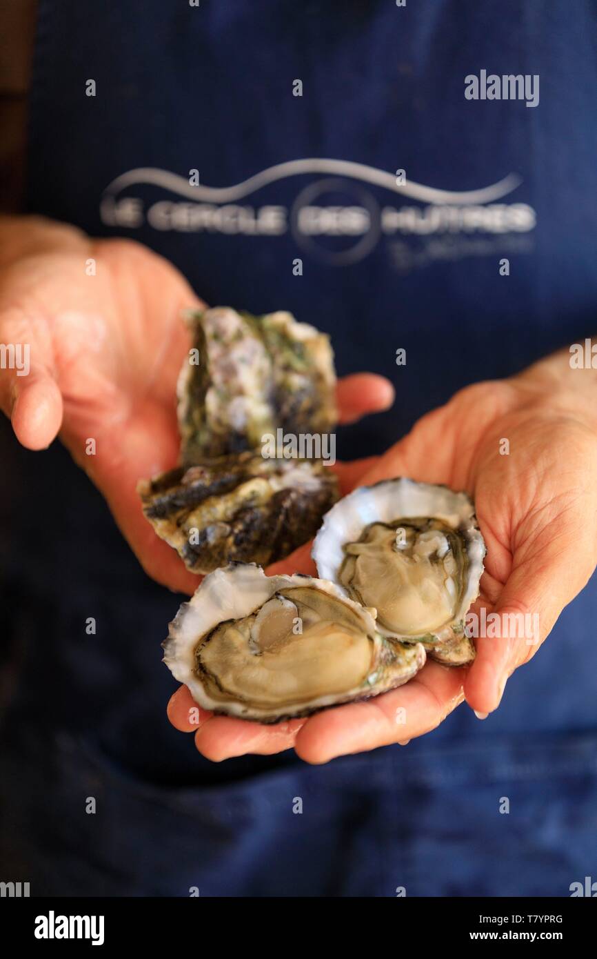 France, Herault, Bouzigues, The Circle of Oysters, oyster farmer and ...