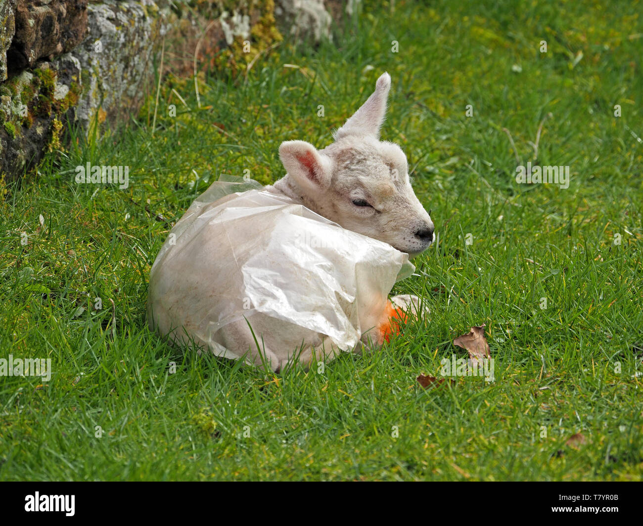 Plastic jacket hi-res stock photography and images - Alamy