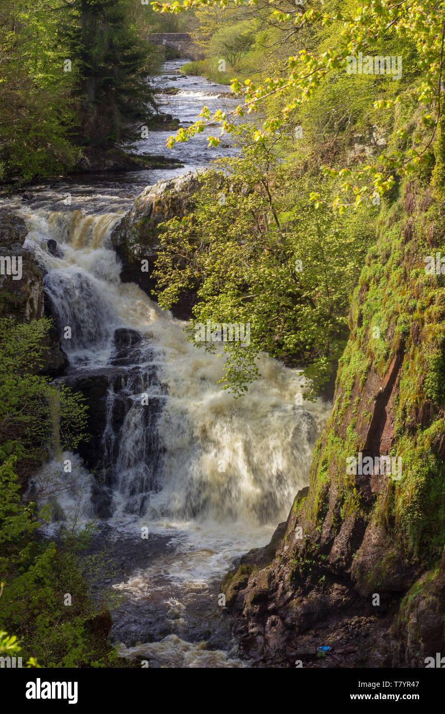 The Reekie Linn waterfall on the River Isla, Perthshire, Scotland, in ...